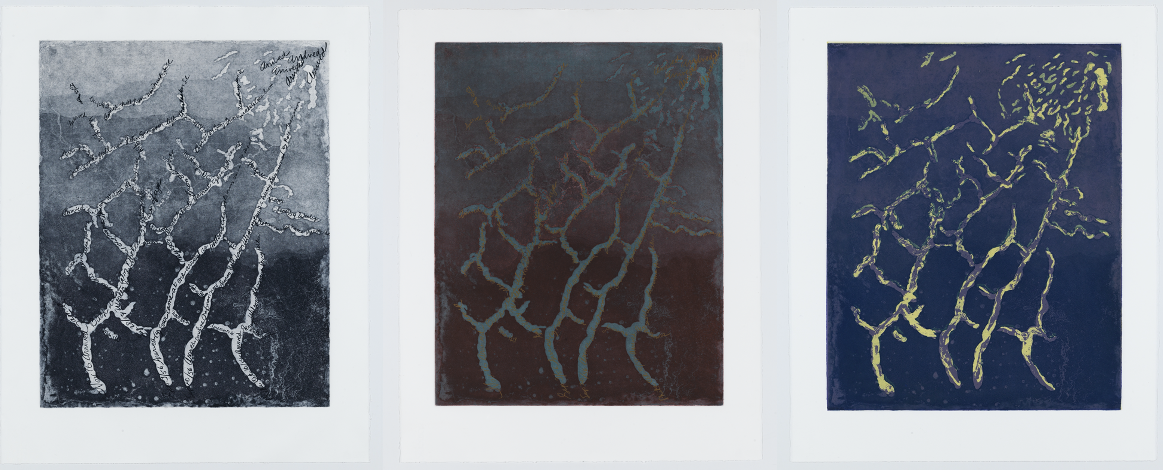 William Still Triptych, 2022 – Pennsylvania Academy of the Fine Arts